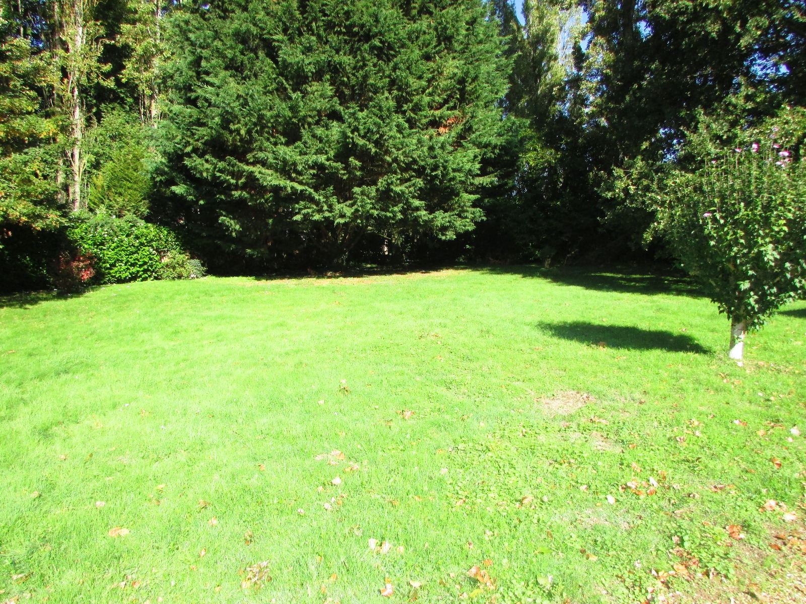 Vente Terrain constructible libre de constructeur.